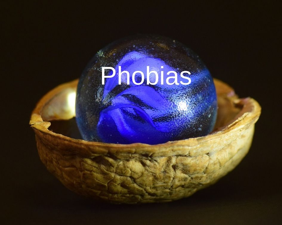 Phobias In a Nutshell – Brian's Blog